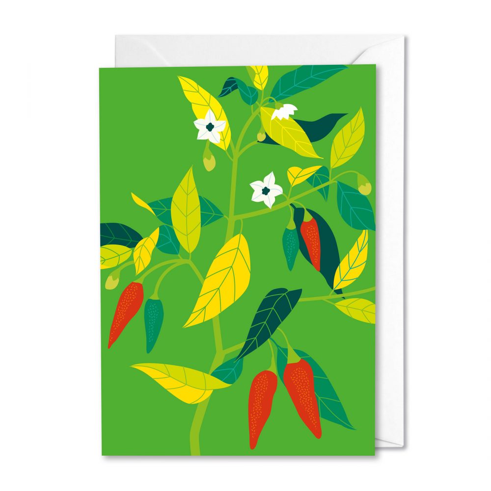 Chilli recipe card - Middle Mouse Shop