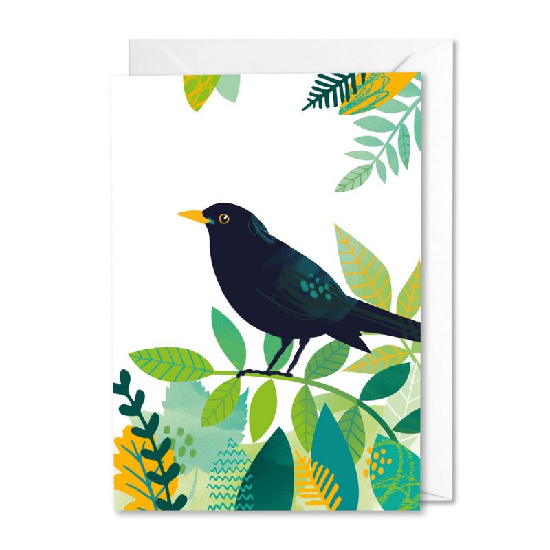 Buzz and Flutter Blackbird card – Middle Mouse Shop